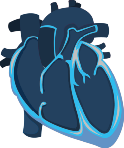 Michael O'Sullivan Consultant Cardiologist in Cambridge UK